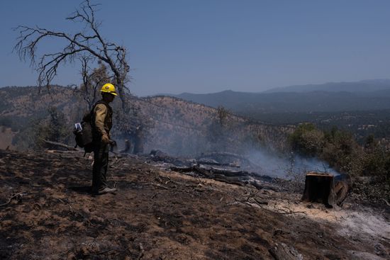 Samuel Resendez Observes Smoldering Tree On Editorial Stock Photo ...