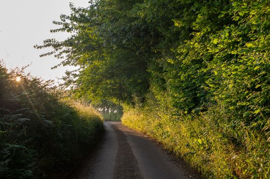 Hs2 Ltd Closed Leather Lane Great Editorial Stock Photo - Stock Image ...
