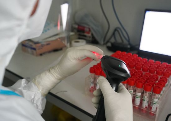 Staff Member Works Temporary Laboratory Nucleic Editorial Stock Photo ...