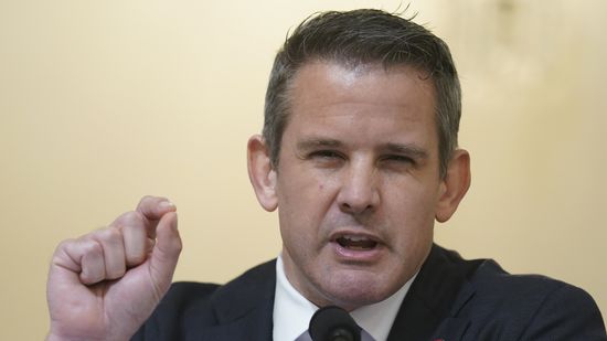 Rep Adam Kinzinger Rill Questions Witnesses Editorial Stock Photo ...