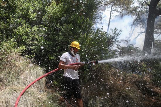 Man Tries Put Out Wildfires Rural Editorial Stock Photo - Stock Image ...