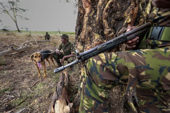 Armed Rangers Lewa Wildlife Conservancy Lwc Editorial Stock Photo ...