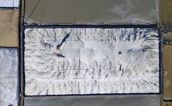 Workers Spend Evening Raking Salt Into Editorial Stock Photo - Stock ...