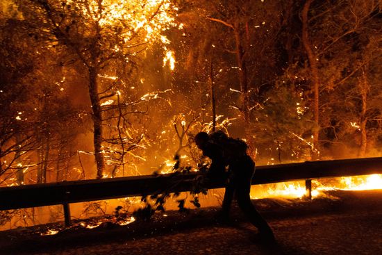 Volunteer Tries Put Everything Wildfire North Editorial Stock Photo ...