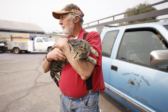 Evacuee Jim Cabral Westwood Small Community Editorial Stock Photo ...