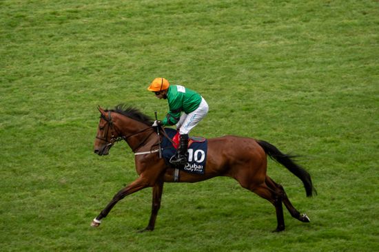 Jockey Tadhg Oshea On Horse Prison Editorial Stock Photo - Stock Image ...