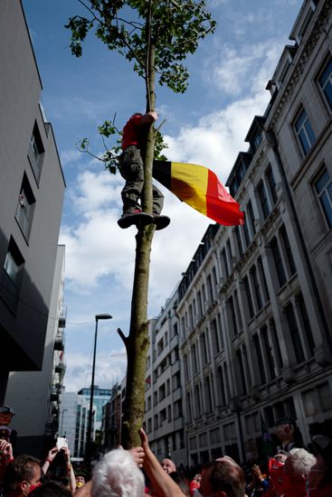 Planting Meyboom Meiboom Dutch Tree May Editorial Stock Photo - Stock ...