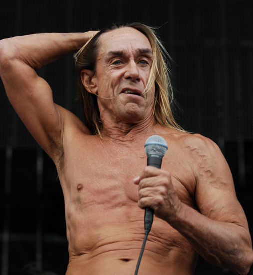 Iggy Stooges Perform Virgin Mobile Festival Editorial Stock Photo ...