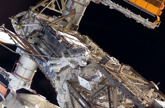 Astronaut Steve Bowen Nasa Mission Sts126 Editorial Stock Photo - Stock ...