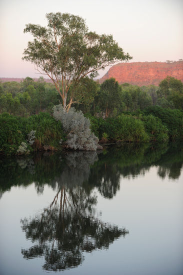 Chamberlain River Kimberley Western Australia Editorial Stock Photo ...