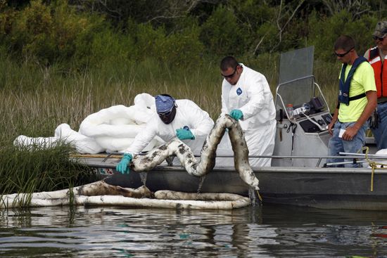 Workers Pick Contaminated Oil Containment Boom Editorial Stock Photo ...