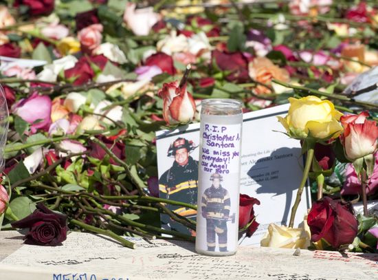 Flowers Fill Reflecting Pool Ground Zero Editorial Stock Photo - Stock ...