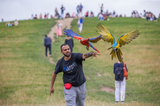 Chukey Plays His Pet Parrots Sonic Editorial Stock Photo - Stock Image ...