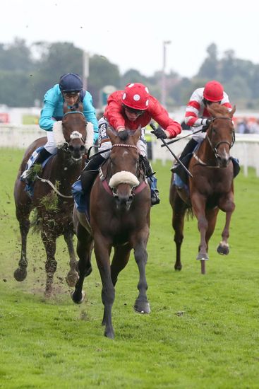 Blackrod 2 Ridden By Billy Garrity Editorial Stock Photo - Stock Image ...