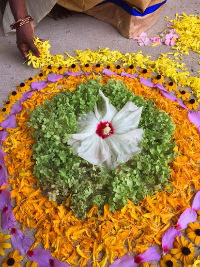 Woman Creates Pookkalam Floral Rangoli During Editorial Stock Photo ...