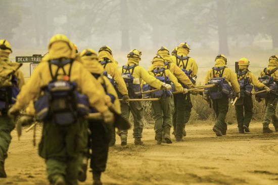Hand Crews Walk Towards Fire Line Editorial Stock Photo - Stock Image ...