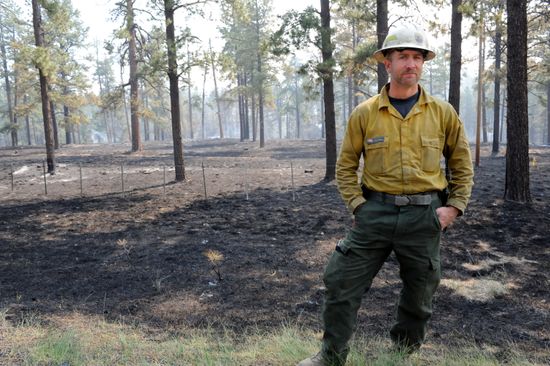 Operation Section Chief Southwest Area Incident Editorial Stock Photo ...