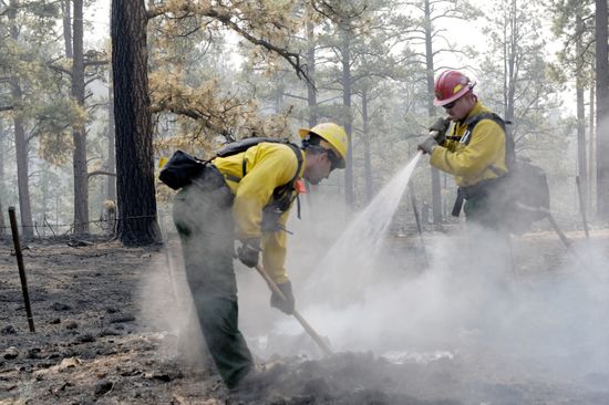 Fire Fighters Work On What They Editorial Stock Photo - Stock Image ...