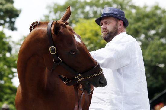 Trainer Doug Oneill Puts His Hand Editorial Stock Photo - Stock Image ...