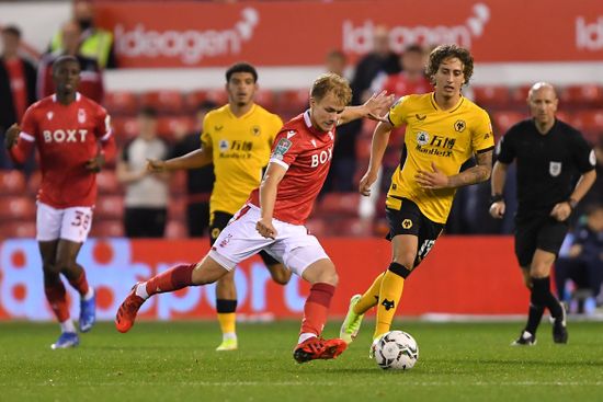 Fin Back Nottingham Forest Action During Editorial Stock Photo - Stock ...