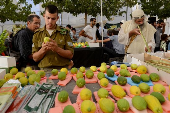 Israeli Soldier Inspects Etrog Citrus Fruit Editorial Stock Photo ...