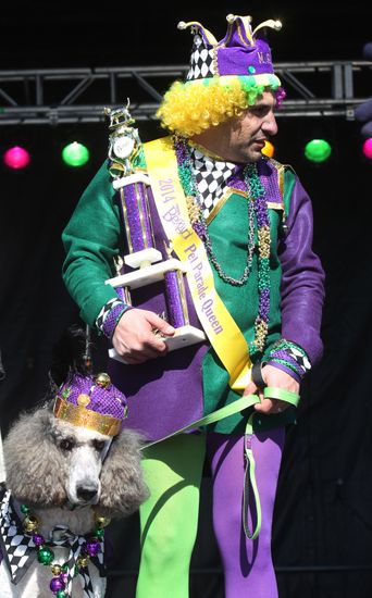 One Winners Best Dog Contest Parade Editorial Stock Photo - Stock Image ...