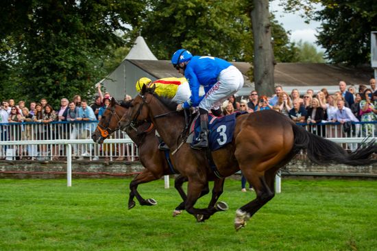 Jockey Hector Crouch On Horse Louie Editorial Stock Photo - Stock Image ...
