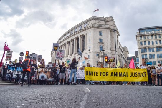 Protesters March Banners Placards Outside Unilever Editorial Stock ...