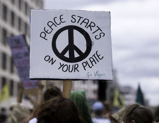 Activist March Placard Saying Peace Starts Editorial Stock Photo ...