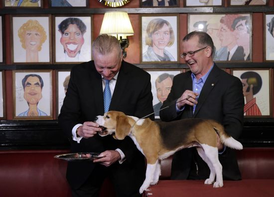 William Alexander Holds Miss P Beagle Editorial Stock Photo - Stock ...