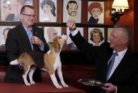 William Alexander Holds Miss P Beagle Editorial Stock Photo - Stock ...