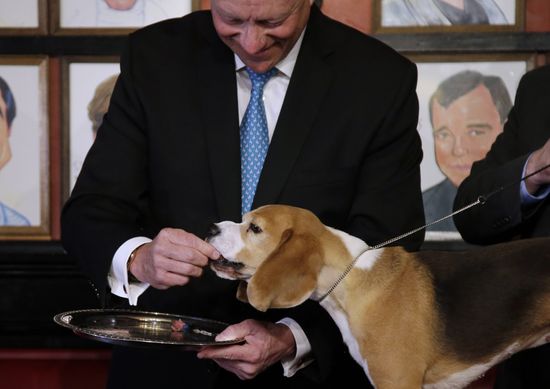William Alexander Holds Miss P Beagle Editorial Stock Photo - Stock ...