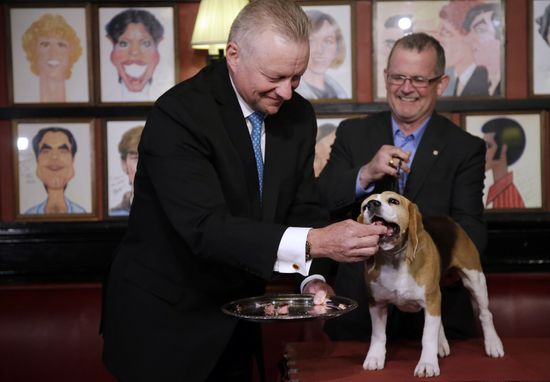 William Alexander Holds Miss P Beagle Editorial Stock Photo - Stock ...