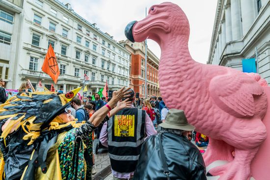 Giant Pink Dodo Arrives Represent Animal Editorial Stock Photo - Stock ...