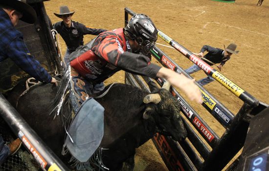 Bull Rider Justin Paton Nebo Queensland Editorial Stock Photo - Stock ...