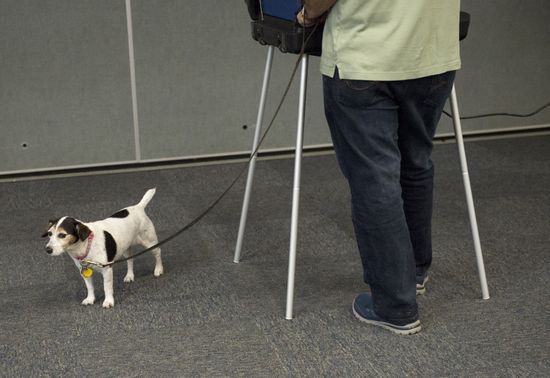 Allan Briggs Joined By His Dog Editorial Stock Photo - Stock Image ...