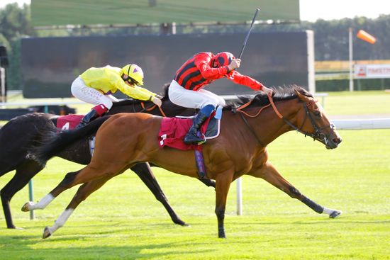 William Buick Completes Haydock 4 Timer Editorial Stock Photo - Stock ...
