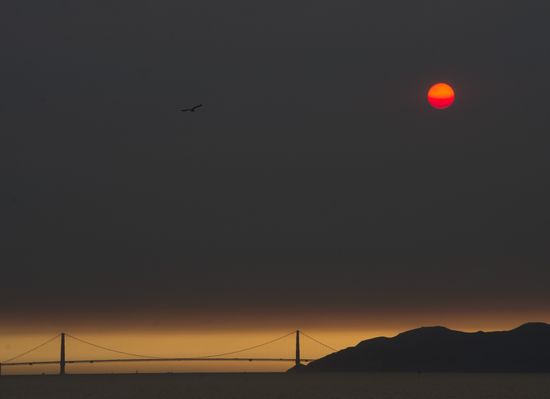 Smoke Northern California Wild Fires Leaves Editorial Stock Photo ...
