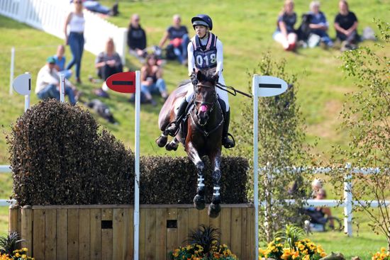 Felicity Collins Riding Rsh Contend Jumps Editorial Stock Photo - Stock ...