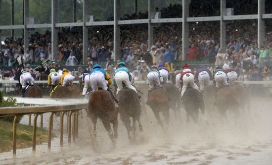 Field Horses Race Around First Turn Editorial Stock Photo - Stock Image ...