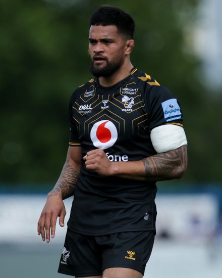 Vaea Fifita Wasps Editorial Stock Photo - Stock Image | Shutterstock