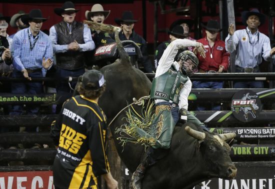 Jess Lockwood Competes Professional Bull Riders Editorial Stock Photo ...