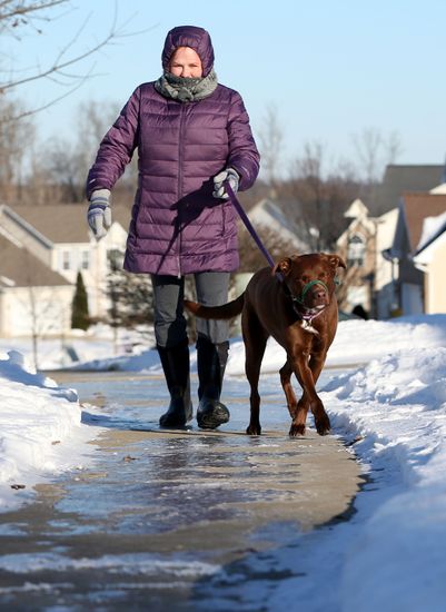 Carol Walling Walks Her Dog Kali Editorial Stock Photo - Stock Image ...