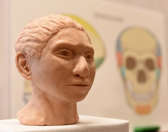 Closeup 3d Printed Reconstruction Female Denisovan Editorial Stock