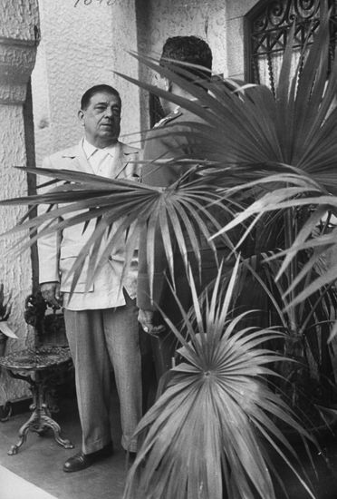 Brazilian War Minister Gen Euclides Zenobio Editorial Stock Photo ...