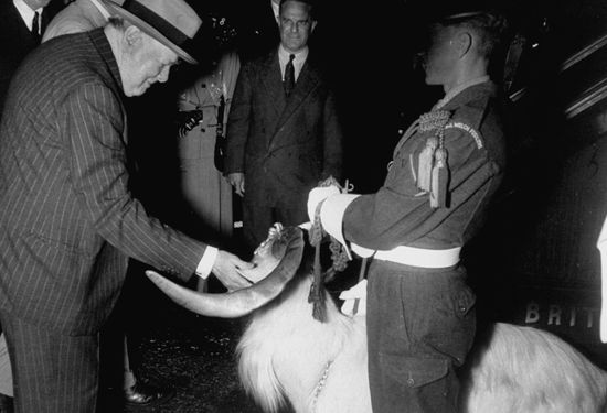 Sir Winston Churchill Greeting Goat Airport Editorial Stock Photo ...