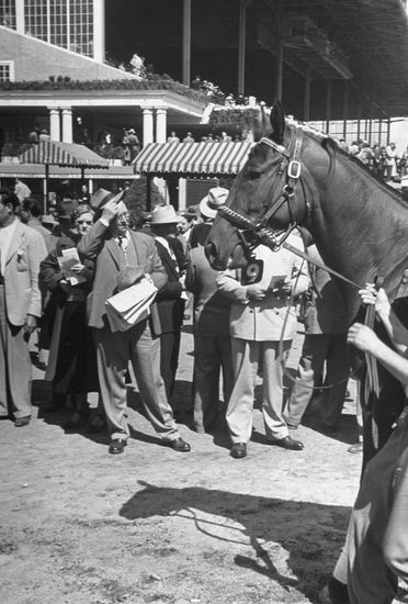 Gambler Robert Blakey Deciding On How Editorial Stock Photo - Stock ...