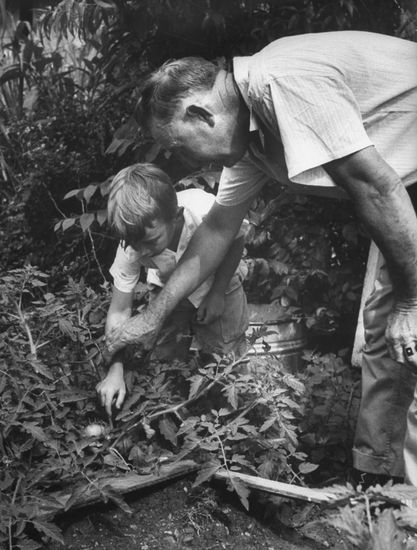 Billy Conner His Grandfather William Working Editorial Stock Photo ...
