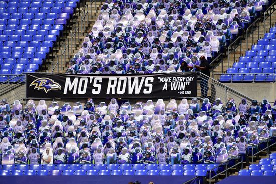 Section Cutouts Likeness Baltimore Ravens Fan Editorial Stock Photo ...