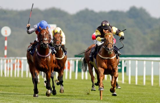 Call Me Ginger Right Amie Waugh Editorial Stock Photo - Stock Image ...